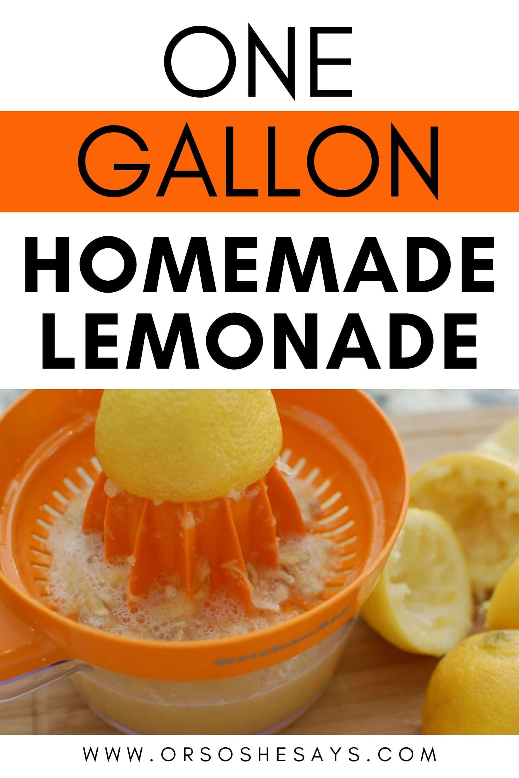 The Best One Gallon Lemonade Recipe (with real lemons!) - Or so she says...