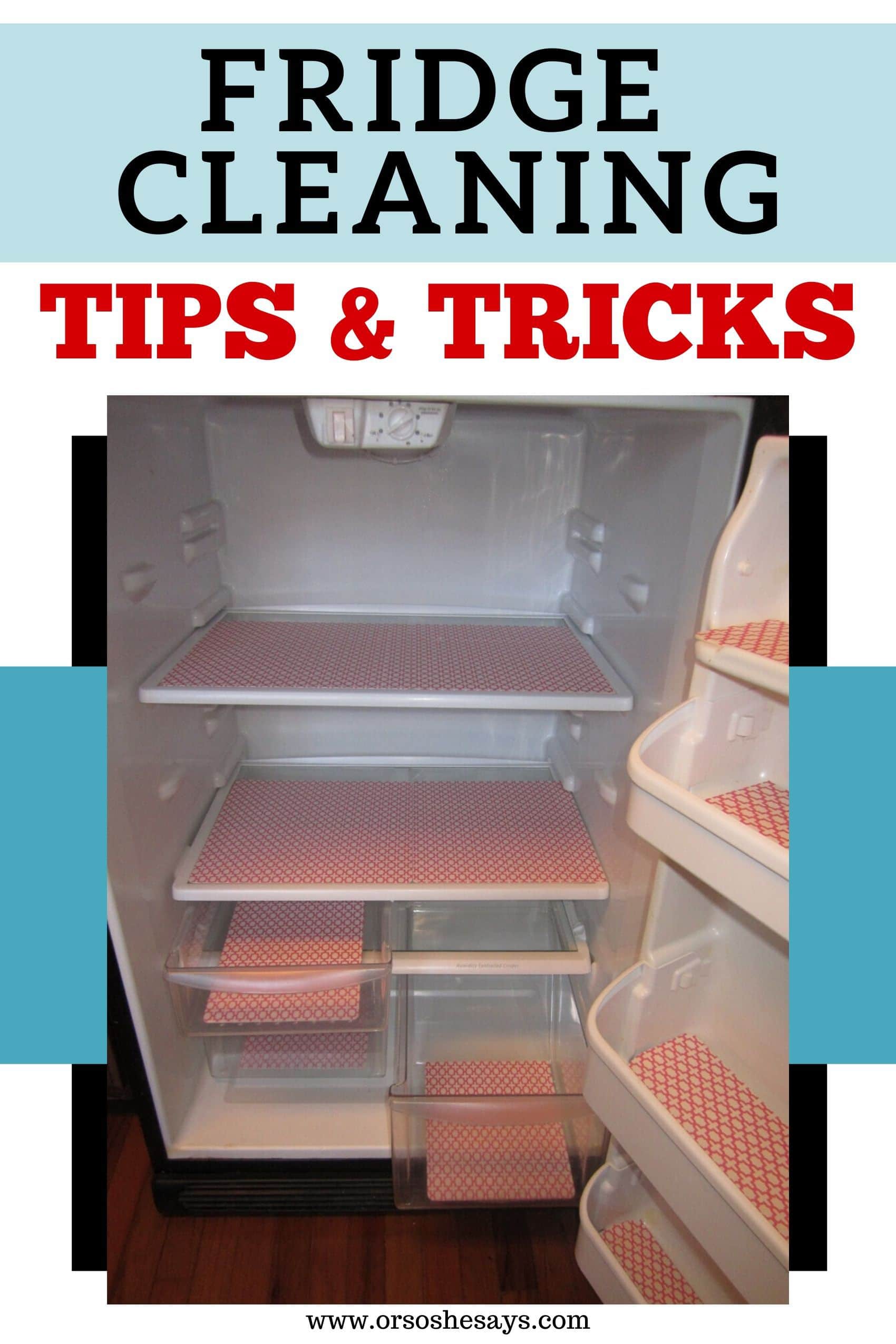 3 Fridge Cleaning Hacks ~ Simplify EVERYTHING!!