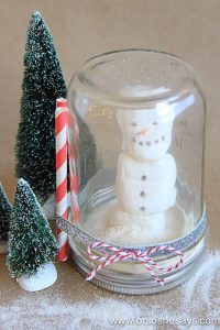 Hot Chocolate Snow Globes - The Perfect, Edible Gift! (she: Sierra)