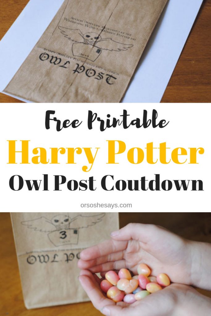 Surprise Universal Studios Trip Reveal Idea ~ Harry Potter Owl Post!
