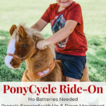 PonyCycle Ride On Toys Buyers Guide - The Best Gifts for Toddlers! - Or ...