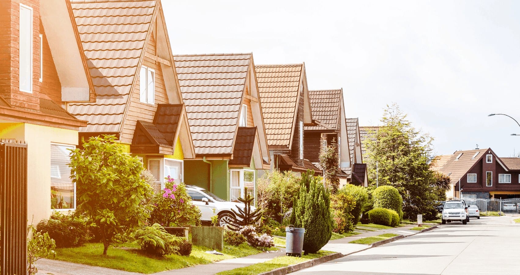 5 Neighborhood Activities During Social Distancing - Or so she says...