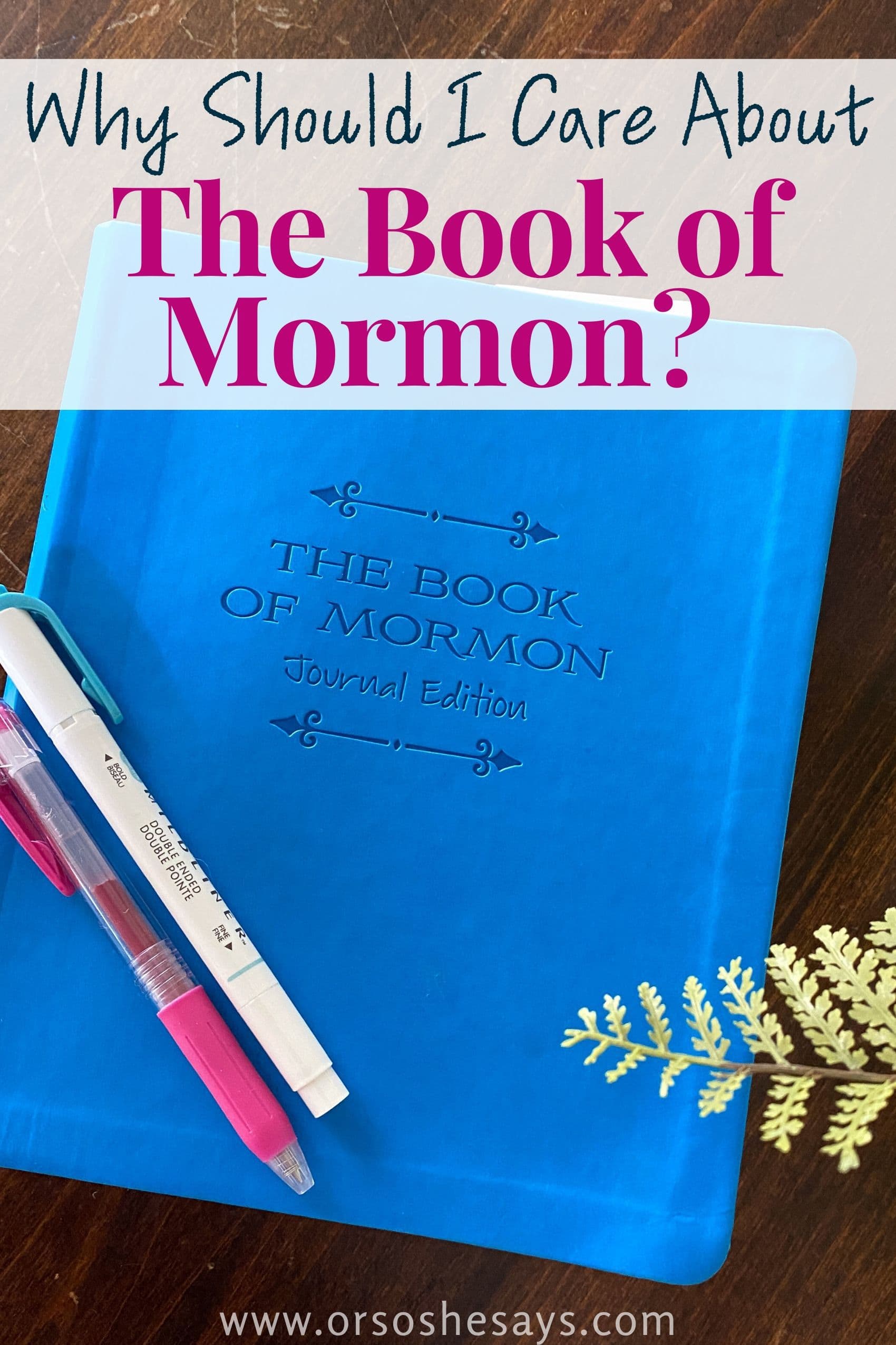 Why Study the Mormon Bible (The Book of Mormon) - Or so she says...